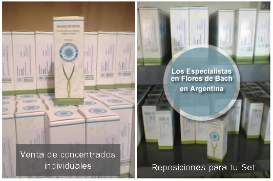 Solicitud Set o Reposición de concentrados - Formulario